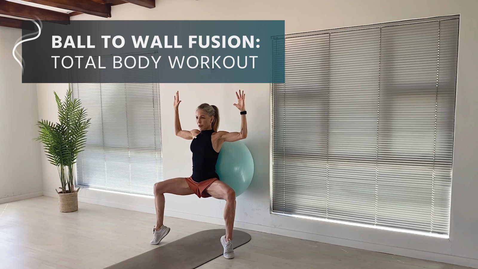 Ball to Wall Fusion - Total Body Workout Class - The Unbound Body