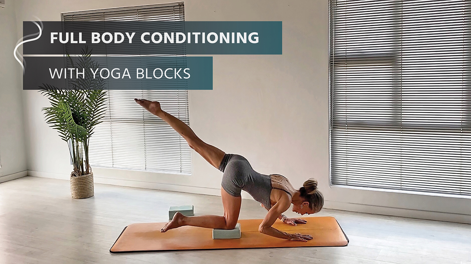 Full Body Conditioning with Yoga Blocks Class - The Unbound Body