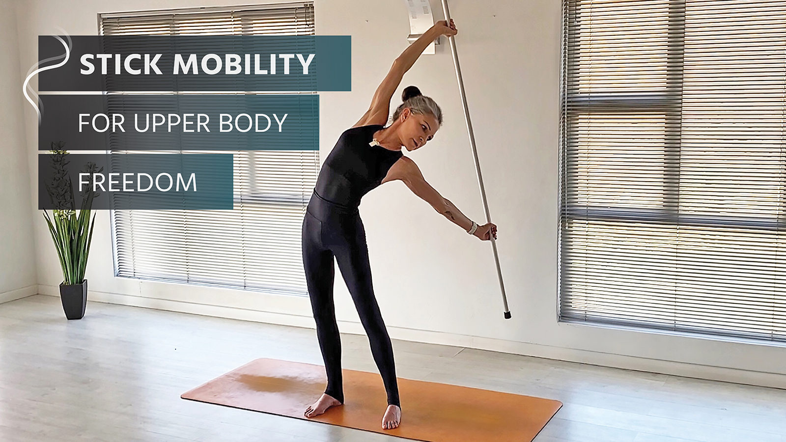 Stick Mobility for Upper Body Freedom Class - The Unbound Body