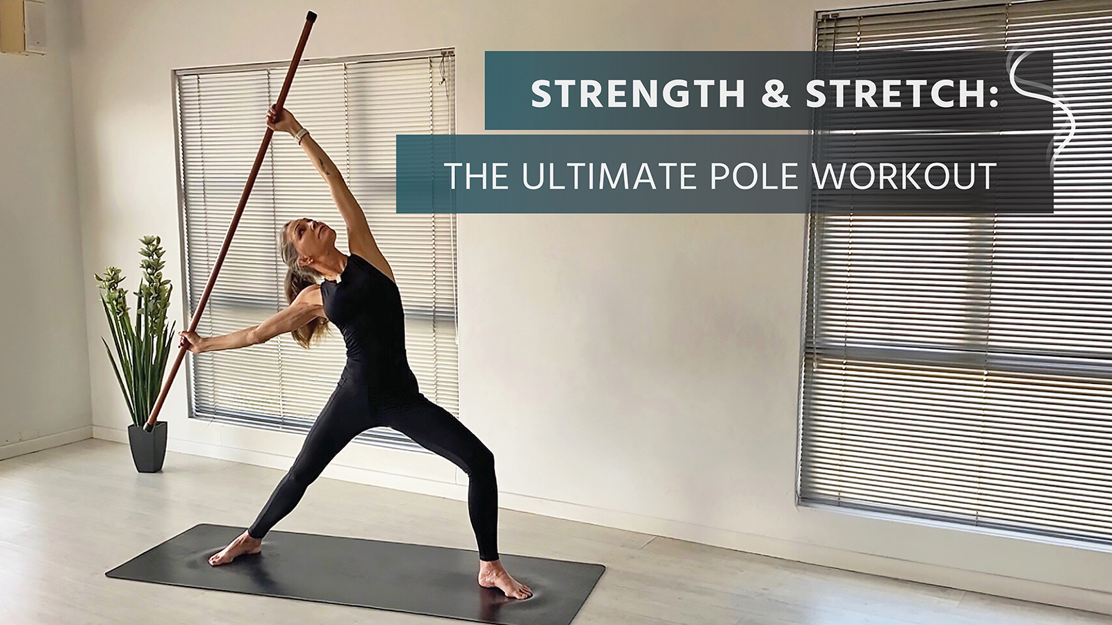 Strength & Stretch: The Ultimate Pole Workout Class - The Unbound Body