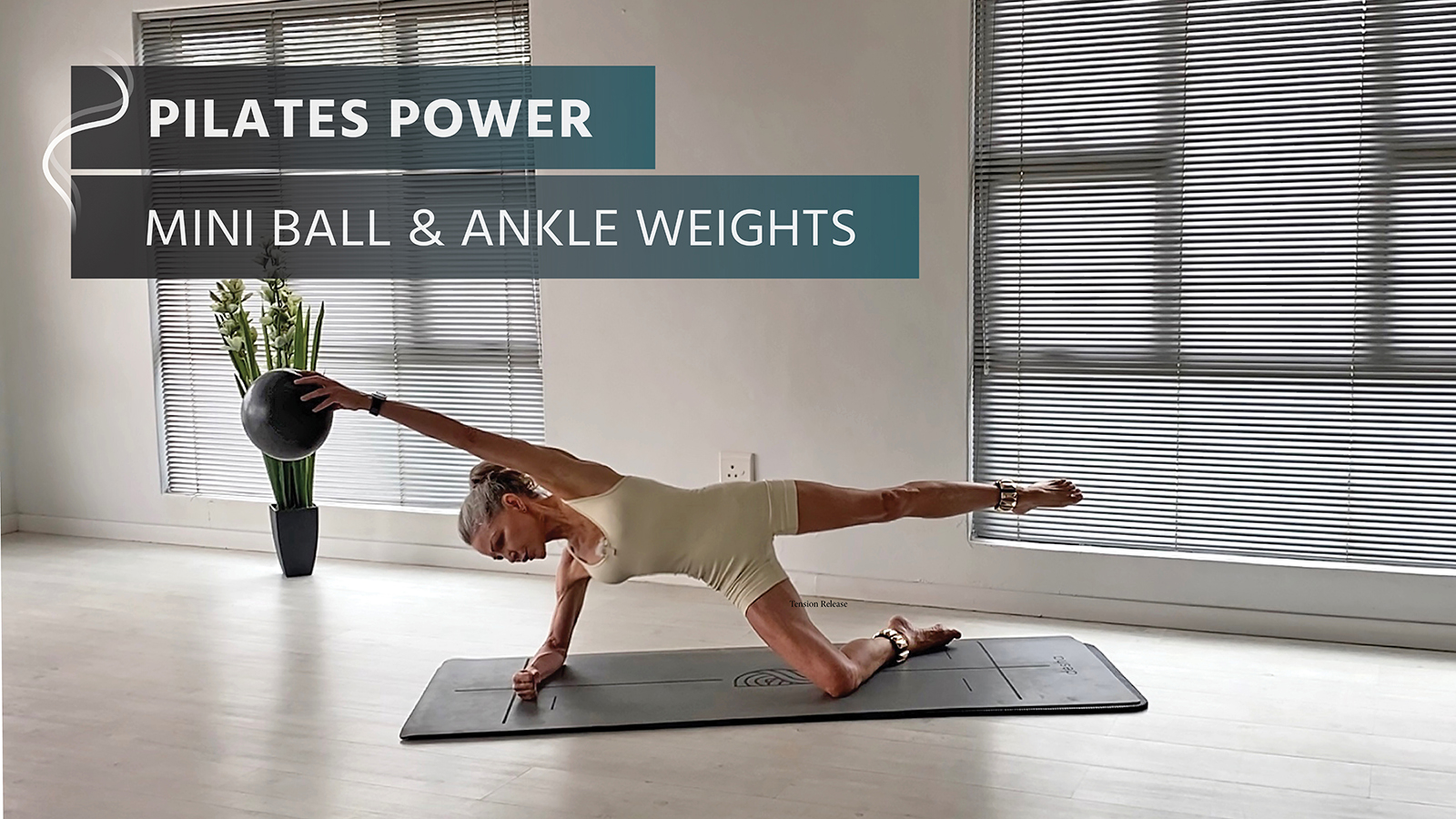 Pilates Power: Mini Ball & Ankle Weights Class - The Unbound Body