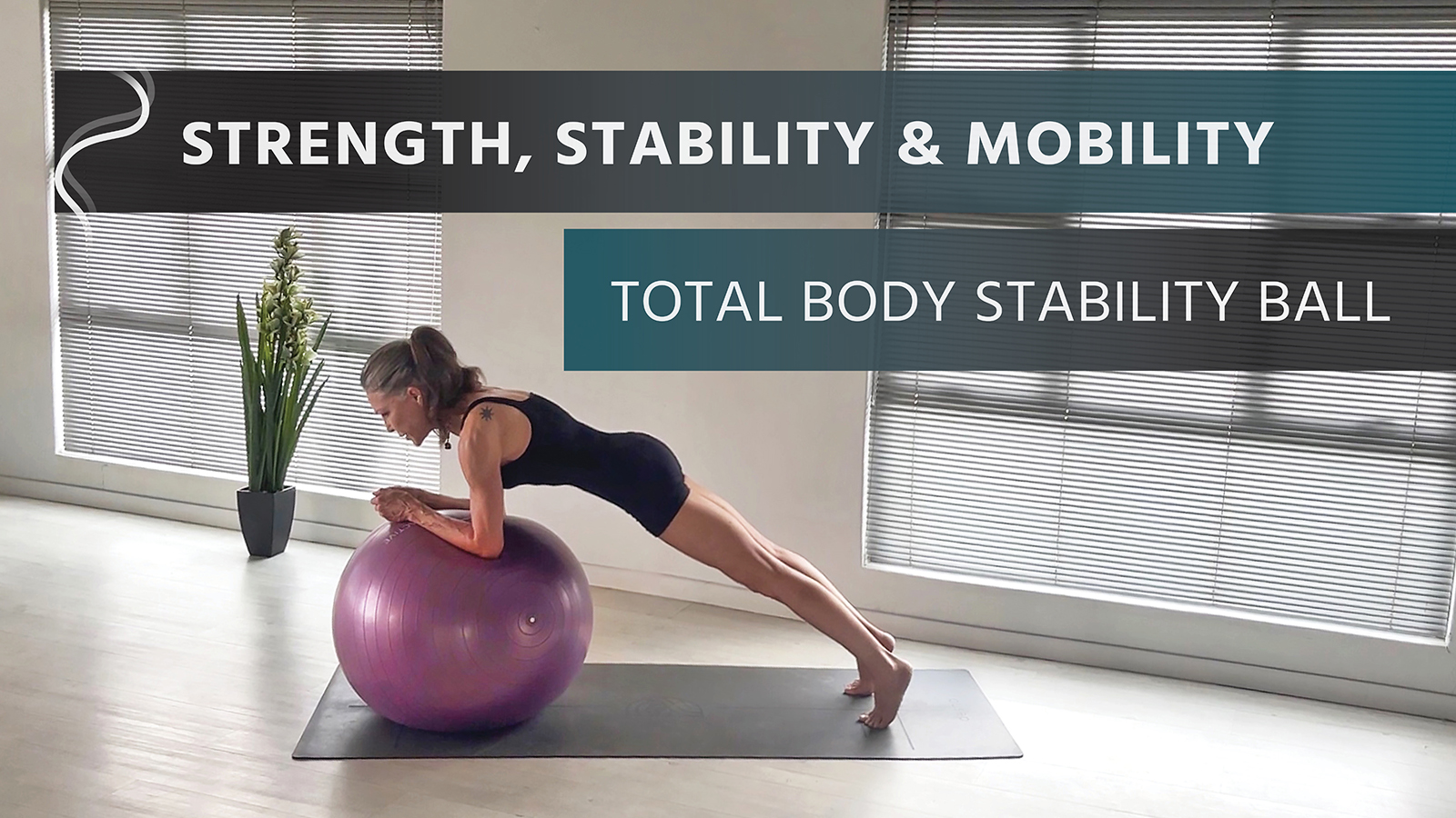 Strength, Stability & Mobility — Total Body Stability Ball Class - The ...
